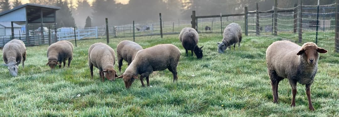 Fuzzy Britches Fiber